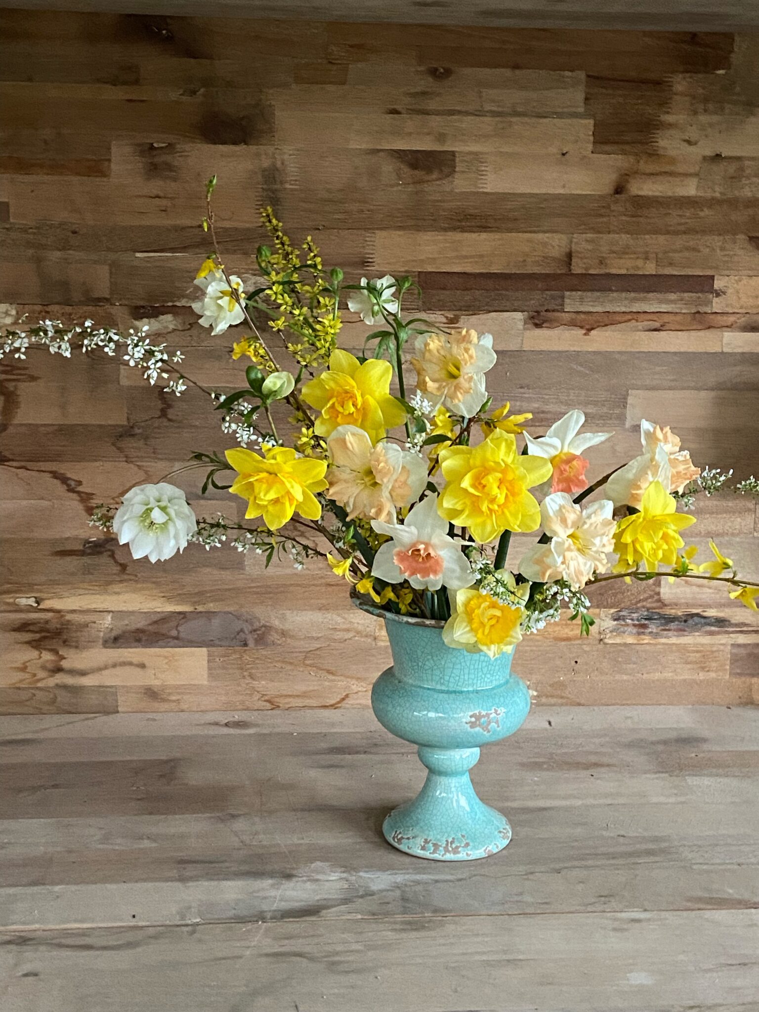 Embracing Daffodils: A Fresh Perspective - Sublime Gardens